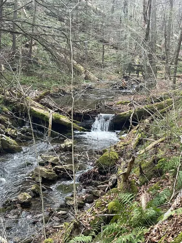 Best Hikes and Trails in Snyder-Middleswarth Natural Area | AllTrails