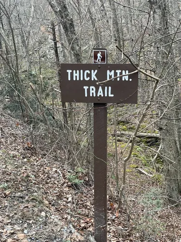 Best Hikes and Trails in Snyder-Middleswarth Natural Area | AllTrails