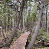 Little Traverse Lake, Michigan - 49 Reviews, Map | AllTrails