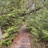 Little Traverse Lake, Michigan - 49 Reviews, Map | AllTrails