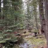 Little Traverse Lake, Michigan - 49 Reviews, Map | AllTrails