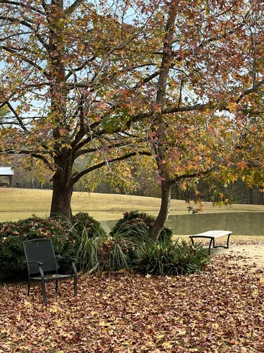 Best Hikes and Trails in McIntosh Reserve Park | AllTrails