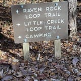 Raven Rock Loop Trail, North Carolina - 2,308 Reviews, Map | AllTrails