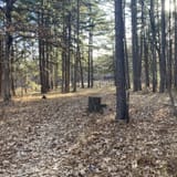 Berryman and Ozark Trail Loop, Missouri - 288 Reviews, Map | AllTrails