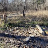 Berryman and Ozark Trail Loop, Missouri - 288 Reviews, Map | AllTrails