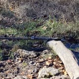 Berryman and Ozark Trail Loop, Missouri - 288 Reviews, Map | AllTrails