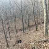 Berryman and Ozark Trail Loop, Missouri - 288 Reviews, Map | AllTrails