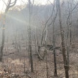 Berryman and Ozark Trail Loop, Missouri - 288 Reviews, Map | AllTrails