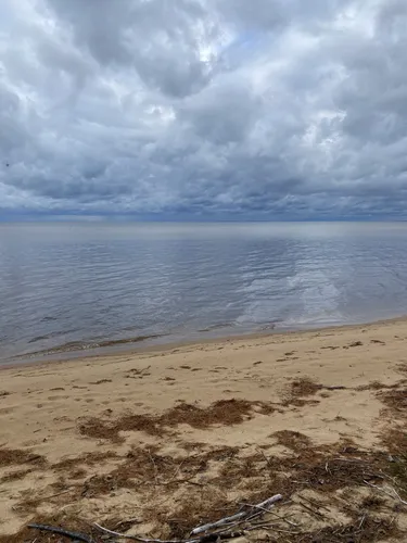 Best Wild Flowers Trails in Eckerman | AllTrails