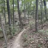 Stringers Ridge via Blue Trail, Tennessee - 1,730 Reviews, Map | AllTrails