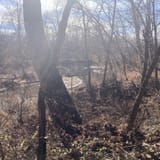 Bootleg Access Trail, Missouri - 72 Reviews, Map | AllTrails