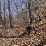 Bootleg Access Trail, Missouri - 72 Reviews, Map | AllTrails