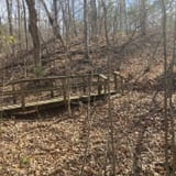 Bootleg Access Trail, Missouri - 68 Reviews, Map | AllTrails