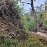 Comite Park Loop, Louisiana - 869 Reviews, Map | AllTrails