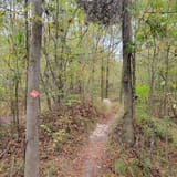 Comite Park Loop, Louisiana - 869 Reviews, Map | AllTrails