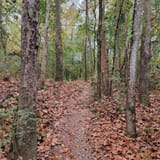Comite Park Loop, Louisiana - 869 Reviews, Map | AllTrails