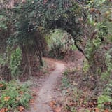 Comite Park Loop, Louisiana - 869 Reviews, Map | AllTrails