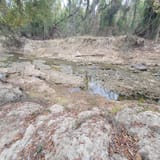 Comite Park Loop, Louisiana - 869 Reviews, Map | AllTrails