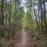 Comite Park Loop, Louisiana - 869 Reviews, Map | AllTrails