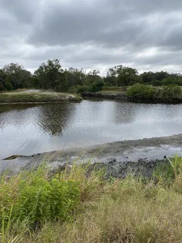 Best Hikes and Trails in Channel Park | AllTrails