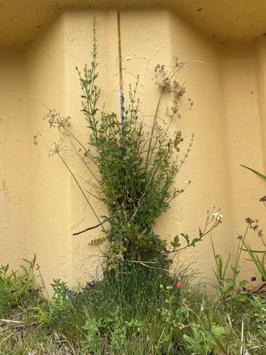 Best Hikes and Trails in Channel Park | AllTrails