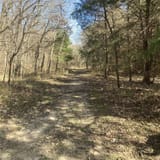 Bootleg Access Trail, Missouri - 68 Reviews, Map | AllTrails