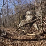 Bootleg Access Trail, Missouri - 72 Reviews, Map | AllTrails
