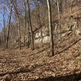 Bootleg Access Trail, Missouri - 72 Reviews, Map | AllTrails