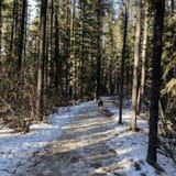 Fullerton Loop Trail, Alberta, Canada - 3,793 Reviews, Map | AllTrails