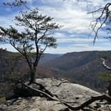 Fiery Gizzard Trail to Raven's Point, Tennessee - 1,154 Reviews, Map ...