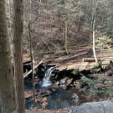 Fiery Gizzard Trail to Raven's Point, Tennessee - 1,154 Reviews, Map ...
