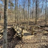 Nine Penny Branch Loop, Indiana - 598 Reviews, Map | AllTrails