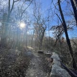 Nine Penny Branch Loop, Indiana - 598 Reviews, Map | AllTrails