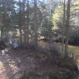 Batsto Lake Trail, New Jersey - 1,500 Reviews, Map | AllTrails