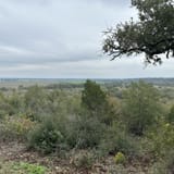 Pine Ridge Loop, Texas - 201 Reviews, Map | AllTrails