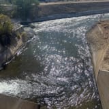 Arizona Canal Trail, Arizona - 670 Reviews, Map | AllTrails