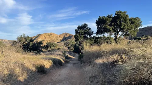 Best Hikes and Trails in Irvine Regional Park | AllTrails