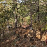 Cross Timbers Hiking Trail, Texas - 1,327 Reviews, Map | AllTrails