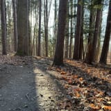 Sprague Brook Park Trail, New York - 1,275 Reviews, Map | AllTrails