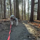 Sprague Brook Park Trail, New York - 1,275 Reviews, Map | AllTrails