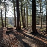 Sprague Brook Park Trail, New York - 1,275 Reviews, Map | AllTrails