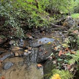 Dam Road, Issaqueena, Rocky and Collarbone Trail, South Carolina ...