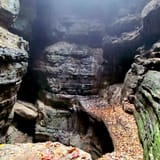 Stephens Gap Cave Trail [PRIVATE PROPERTY], Alabama - 367 Reviews, Map ...