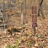 Stephens Gap Cave Trail, Alabama - 391 Reviews, Map | AllTrails