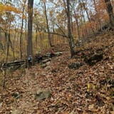 Stephens Gap Cave Trail, Alabama - 391 Reviews, Map | AllTrails
