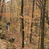 Stephens Gap Cave Trail, Alabama - 391 Reviews, Map | AllTrails