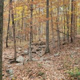 Stephens Gap Cave Trail, Alabama - 391 Reviews, Map | AllTrails