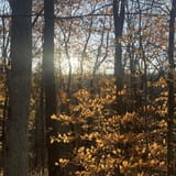 Salt Run, Ohio - 1,174 Reviews, Map | AllTrails