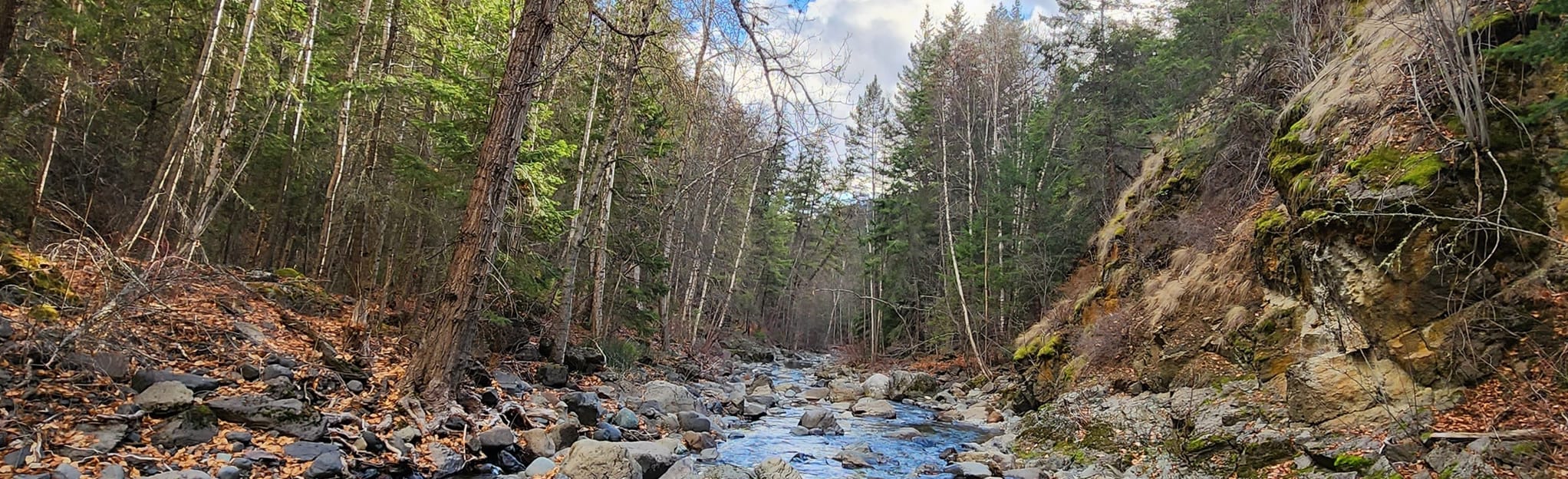 Tranquille River Canyon, British Columbia, Canada - 7 Reviews, Map ...