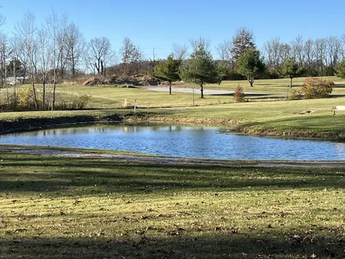 Best Forest Trails in Ostrander | AllTrails